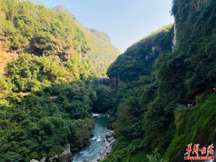 冬季贵州行丨地球上美丽的伤痕马岭河峡谷壮美瀑布宛如画 今日关注 湖南在线 华声在线