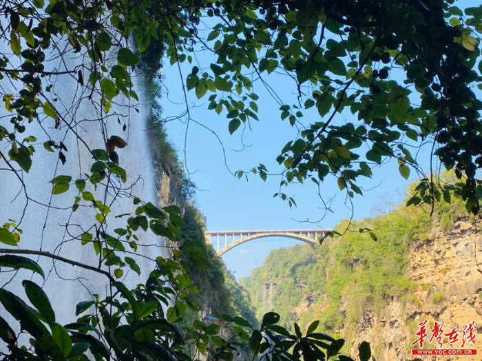 冬季贵州行丨地球上美丽的伤痕马岭河峡谷壮美瀑布宛如画 今日关注 湖南在线 华声在线