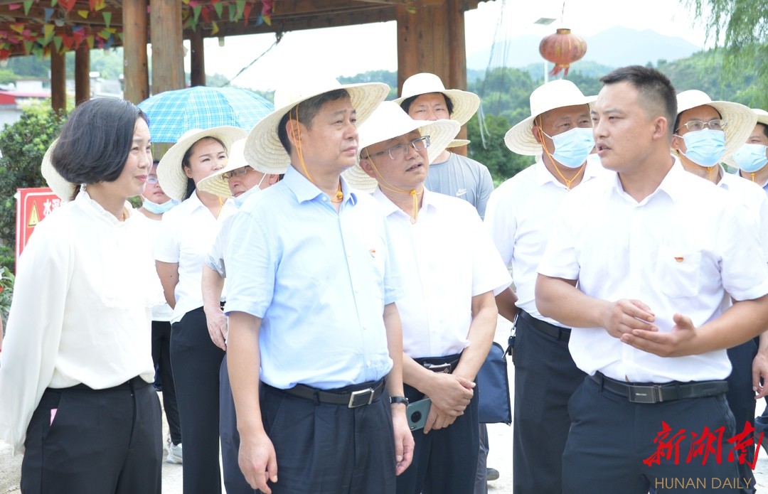 严华在城步为基层党员上党课并参加市人大代表小组主题活动 邵阳 新湖南