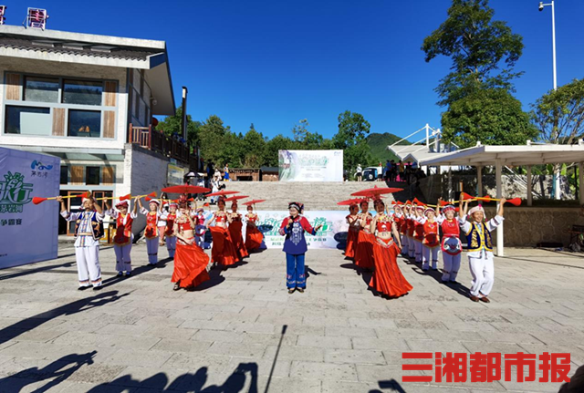 张家界顶踏歌行丨茅岩河上响天籁苦竹寨里醉游人 城事 新湖南