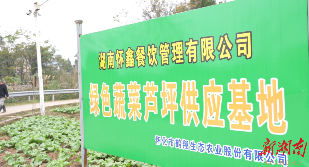 粮食生产保卫战 黄金坳镇全面做好冬耕冬播 鹤城 新湖南