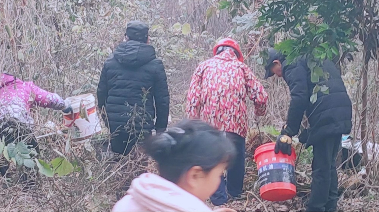 茶亭镇大龙村集中清扫 促进美丽乡村建设 乡村动态 乡村振兴 华声在线