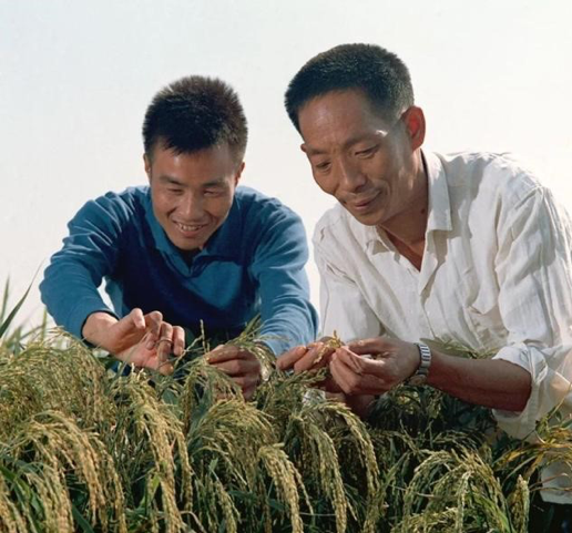 百年瞬间丨袁隆平荣获新中国第一个特等发明奖 时局 新湖南