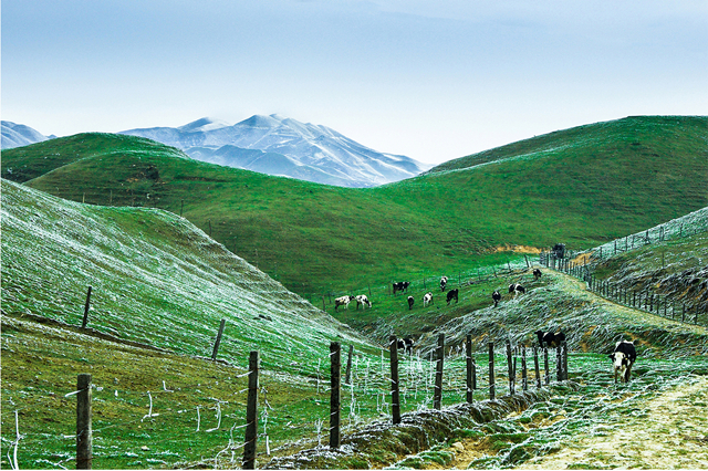 南山风景名胜区：“五一”暂停接待入境及省外访客 - 邵阳 - 新湖南