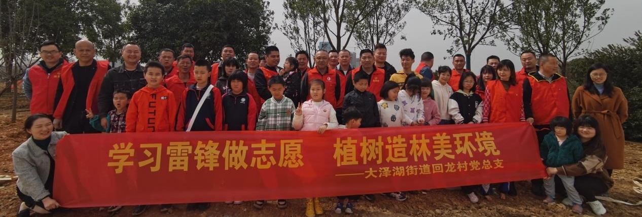 大泽湖街道回龙村：党建引领学雷锋，植树造林美环境 乡村动态 乡村振兴 华声在线 0501