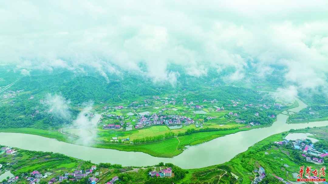 生态画卷 - 华声在线